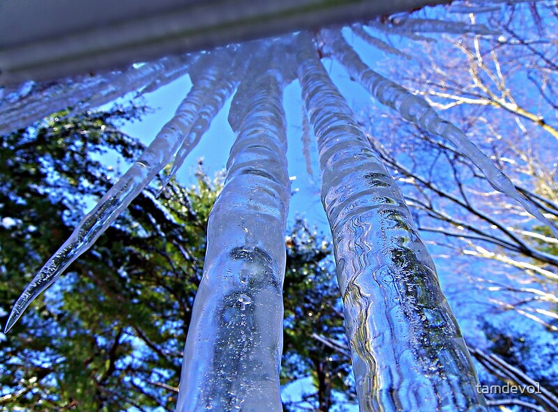 "Frozen drips" by tamdevo1 | Redbubble