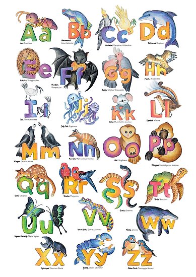"Australian Animal Alphabet" Poster by WeiroDesigns | Redbubble