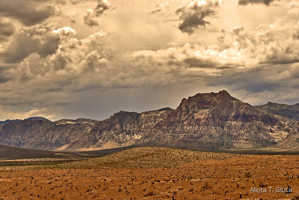 "Desert Landscape with Cloudy Sky" by Alinta T. Giuca | Redbubble