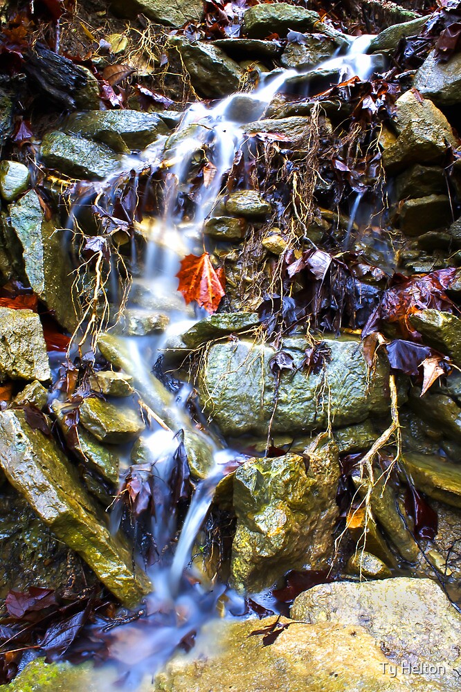 "Cascade" by Ty Helton | Redbubble