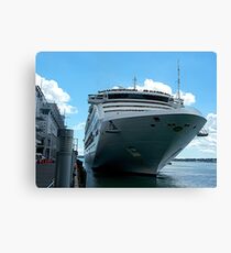 Princess Cruise Line Gifts & Merchandise | Redbubble