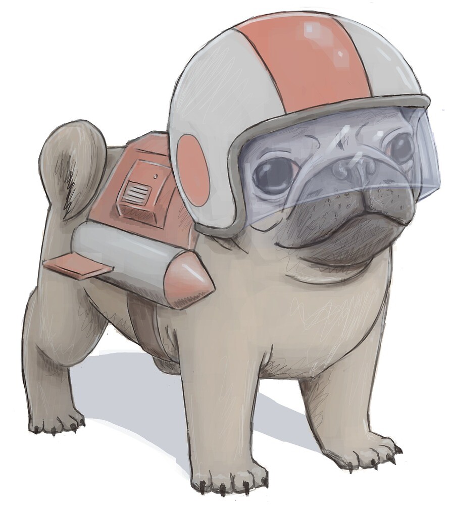 "Rocket Pug!" by fluffysbeans | Redbubble