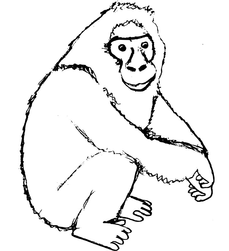 "Western Lowland Gorilla" by jonataniversen | Redbubble