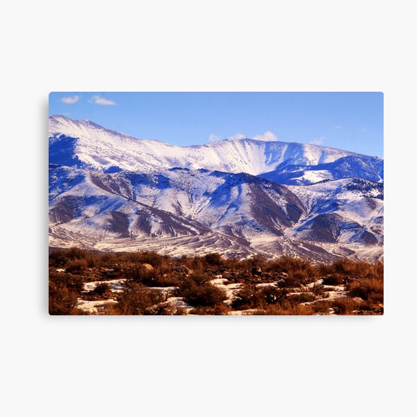 Arla Ruggles Shop | Redbubble