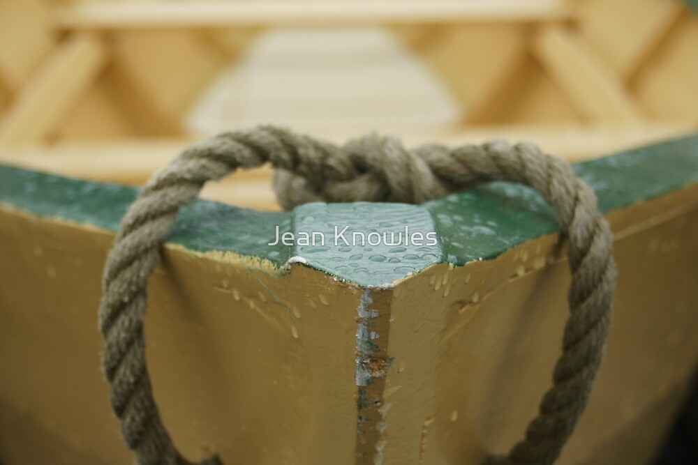 "Dory detail" by Jean Knowles | Redbubble