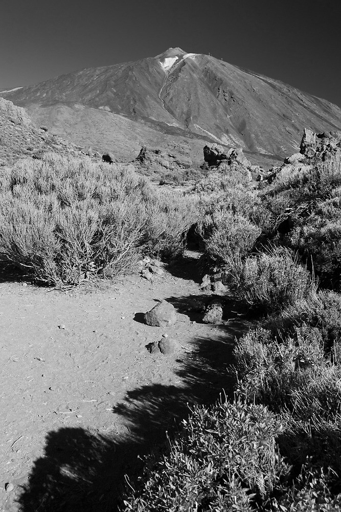 "Mt Teide" by Chris Cardwell | Redbubble