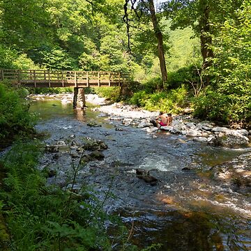 "Watersmeet Bridge" Jigsaw Puzzle for Sale by Rob Hawkins | Redbubble