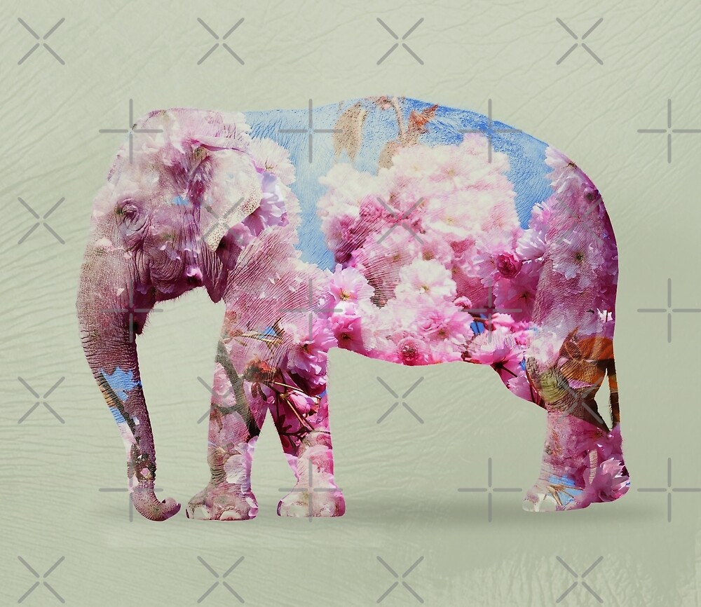 "cherry blossom elephant" by Vin Zzep | Redbubble