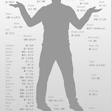 "Japanese body parts cheat sheet & poster" Poster for Sale by Philip ...