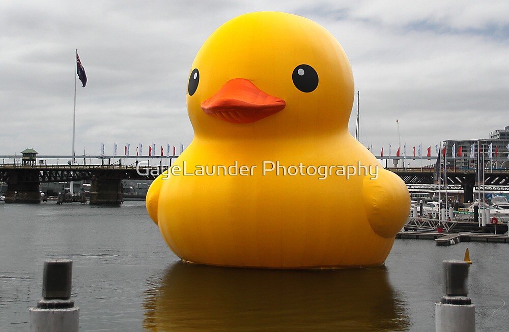 "Big Yellow Duck" by GayeLaunder Photography | Redbubble