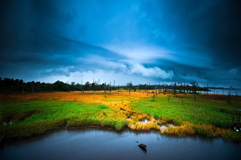 "Storm over the marsh" by kbrimson | Redbubble