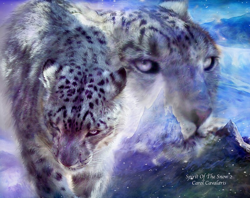 "Snow Leopard - Spirit Of The Snow 2" by Carol Cavalaris | Redbubble