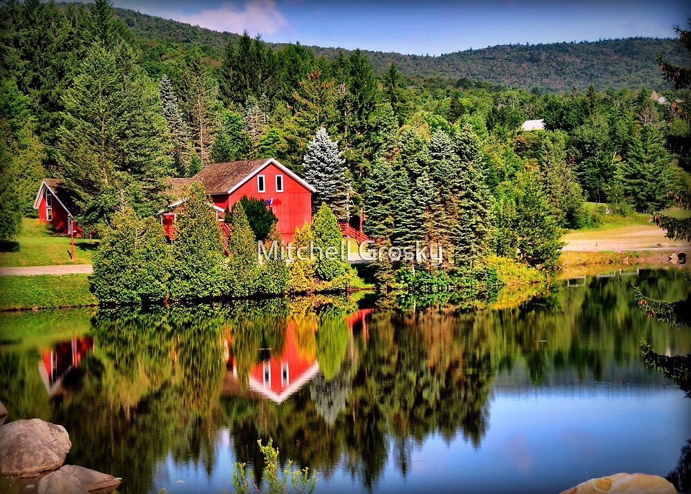 "Summer in Vermont" by Mitchell Grosky | Redbubble