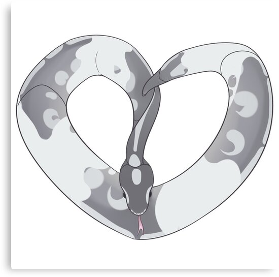 "Ball Python Heart (Pied)" Canvas Print by Sumire76 | Redbubble