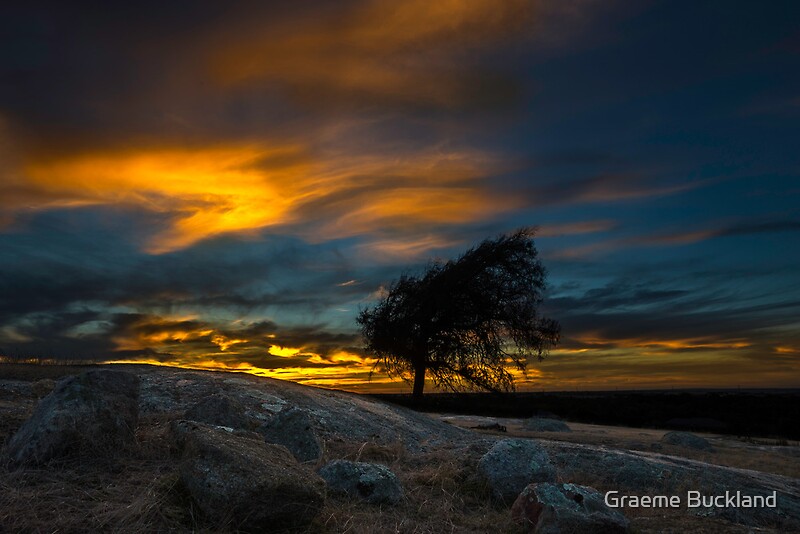 "Wind Swepted - Dog Rocks Batesford" by Graeme Buckland | Redbubble