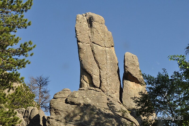 "Phallic Nature" by MaxDaisyLilG | Redbubble