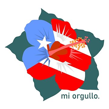 Lámina fotográfica con la obra «Bandera Puerto Rico Flor de Maga Mi ...