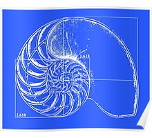 Fibonacci Sequence: Posters | Redbubble