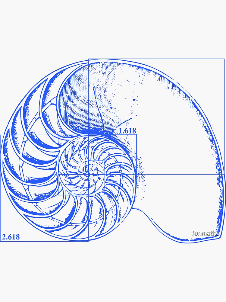 "Fibonacci on a nautilus shell (blue)" Sticker by funmaths | Redbubble