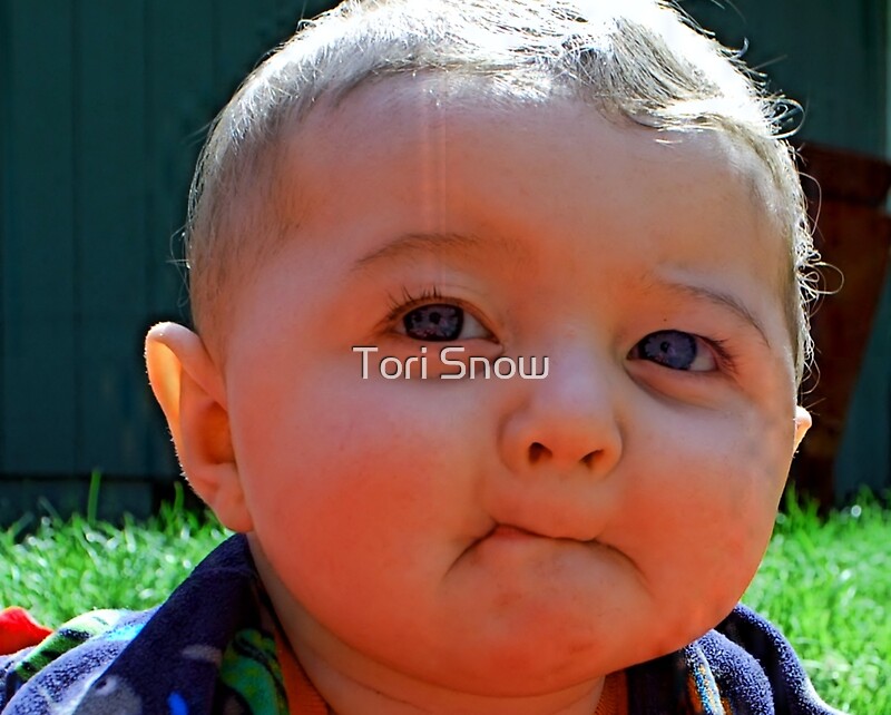 "Bryson's Funny Face " by Tori Snow | Redbubble