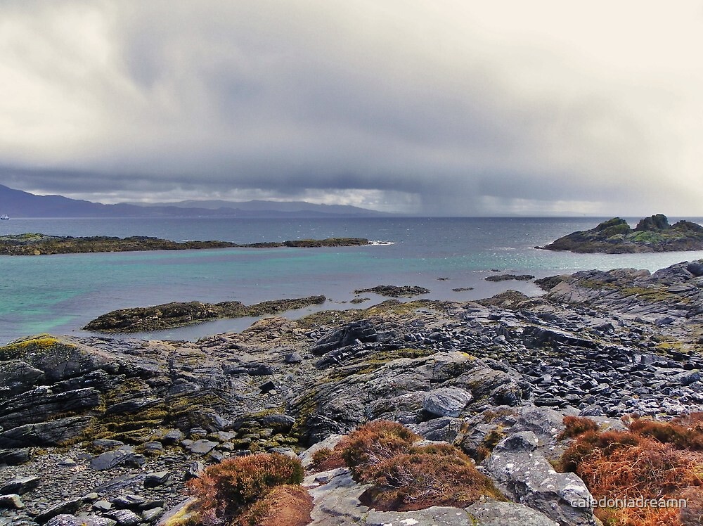 "Seal Island ~ Rhuba Phoil ~ Isle Of Skye" by caledoniadreamn | Redbubble