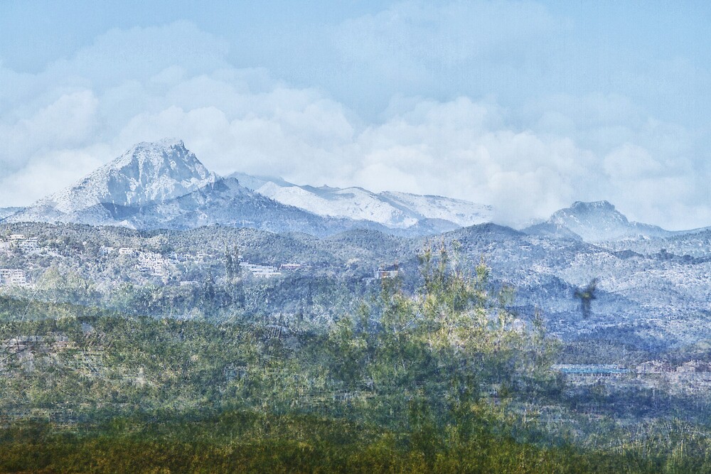 "The Winter that never was" by Philip Rogan | Redbubble