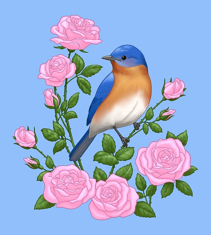 "Eastern Bluebird and Pink Roses" by csforest | Redbubble