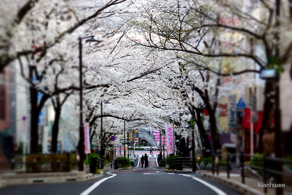 "Shibuya Sakura Dori (Street)" by kianhwee | Redbubble