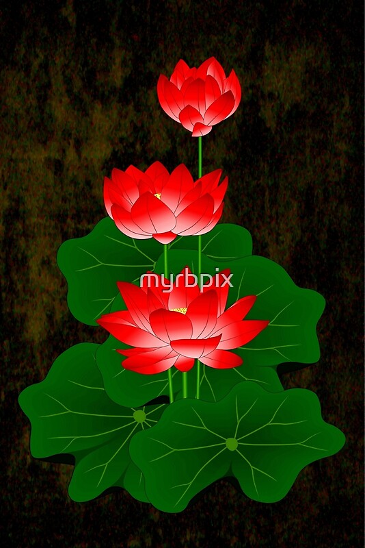"Red Lotus" by myrbpix | Redbubble