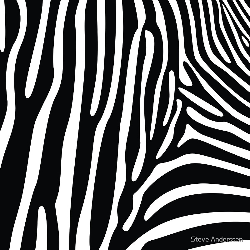 "Zebra Print" by Steve Anderssen | Redbubble