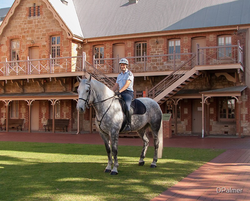 "South Australian Mounted Police Officer" by DPalmer | Redbubble