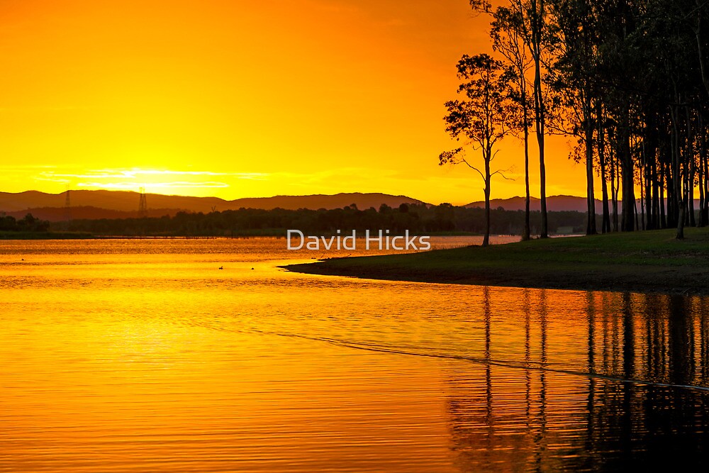 "Bullocky Rest - Lake Samsonvale" by David Hicks | Redbubble