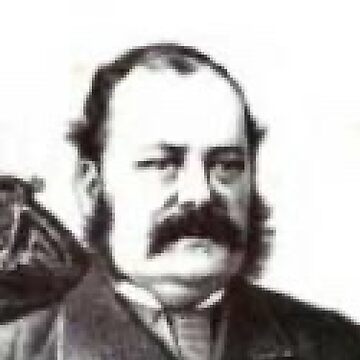 "Mr Thomas Wilson Barnes" Essential T-Shirt for Sale by weavernap ...