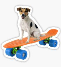 Penny Skateboard Stickers | Redbubble