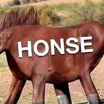 "HONSE" Sticker for Sale by makothewizard | Redbubble