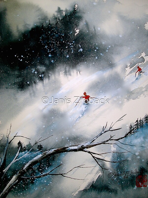 "Past The Plunge.." by ©Janis Zroback | Redbubble