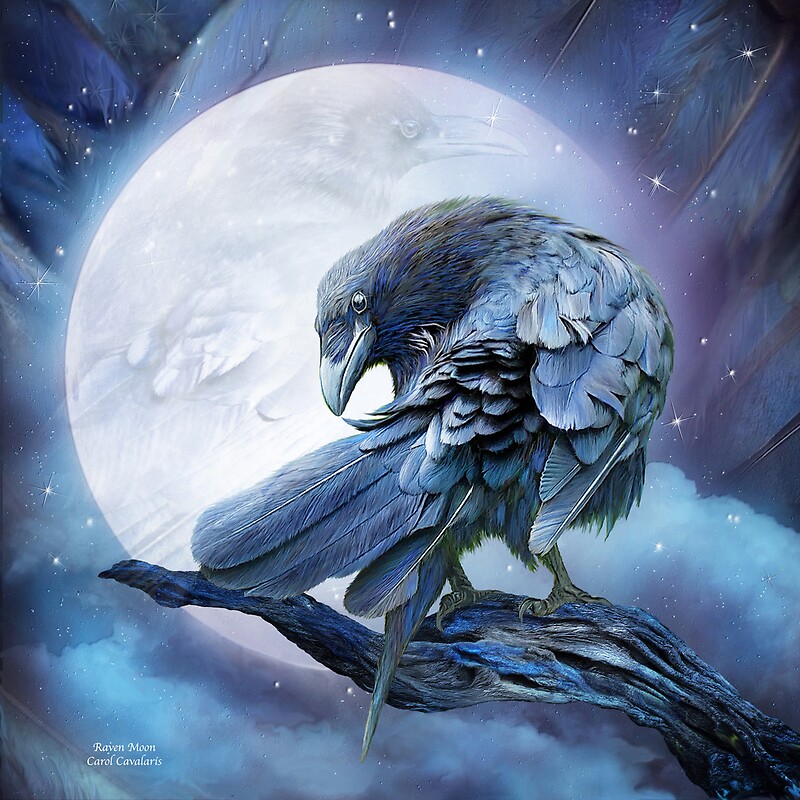 "Raven Moon" by Carol Cavalaris | Redbubble