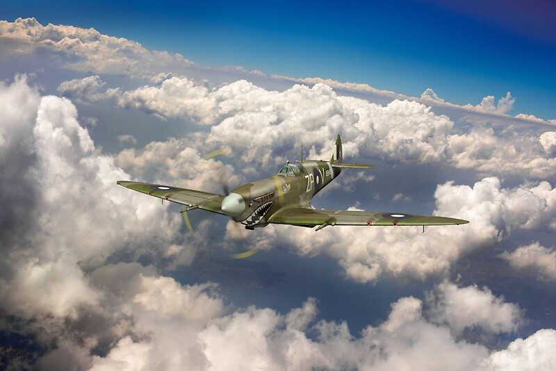 "Shark mouth Spitfire patrol" by Gary Eason Flight Artworks | Redbubble