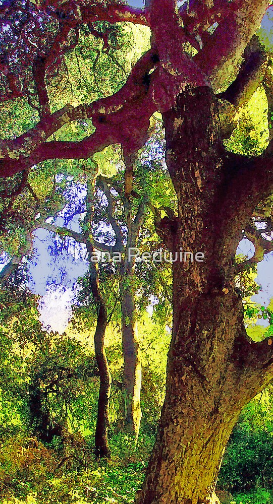 "Expressive Trees — Version Two" by Ivana Redwine | Redbubble