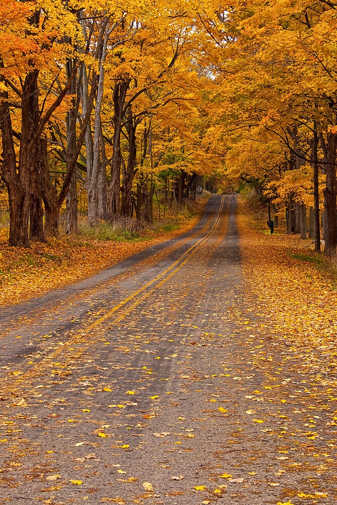 "Fall Rural Country Road" by Randall Nyhof | Redbubble