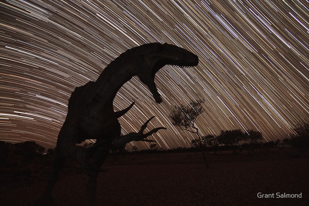 "'Banjo' - Australovenator Wintonensis" by Grant Salmond | Redbubble