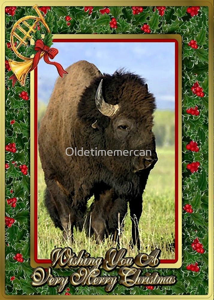 "North American Bison Buffalo Blank Christmas Card" by Oldetimemercan ...