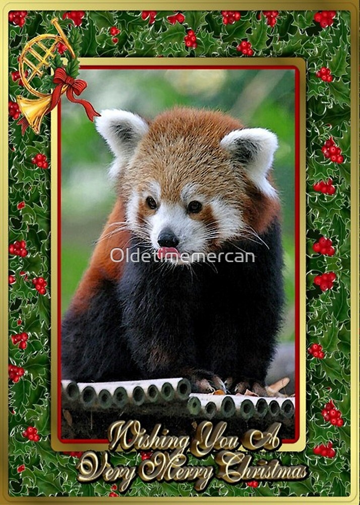 "Red Panda Blank Christmas Greeting Card" by Oldetimemercan | Redbubble