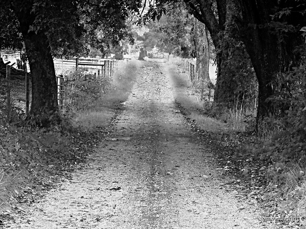 "Country Road black and white backroad photography" by jemvistaprint ...