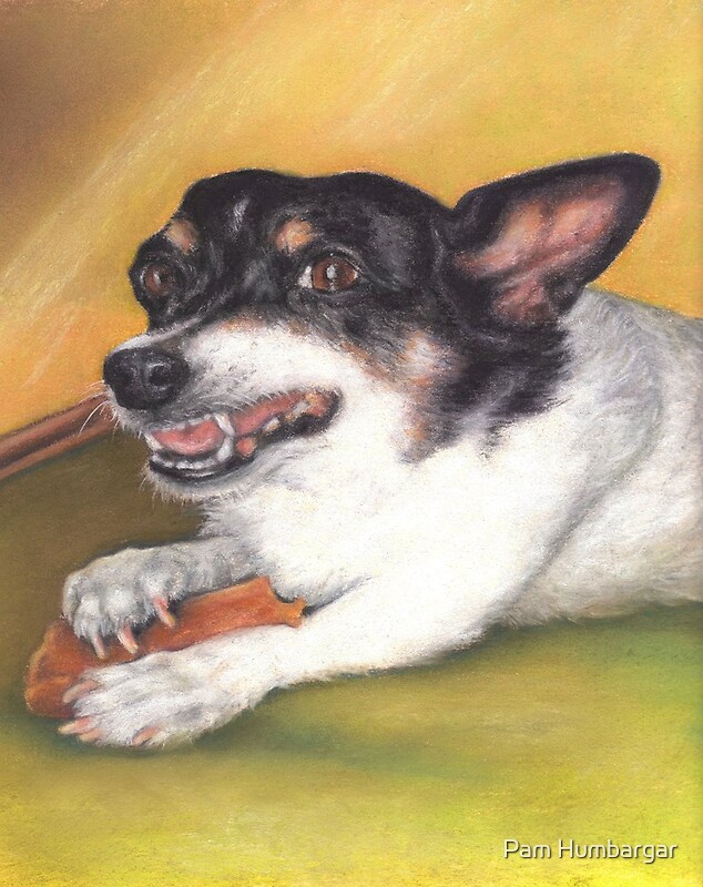 "Snarly Face" by Pam Humbargar | Redbubble