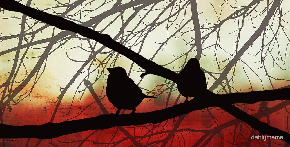 "Birds In Shadow" by dahlymama | Redbubble