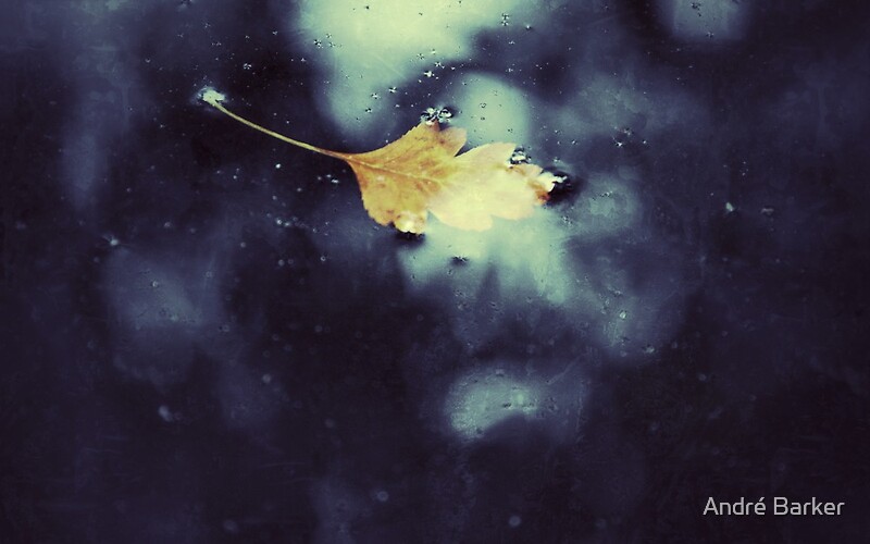"Drowned in Sound" by André Barker | Redbubble