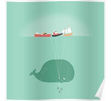 Whale: Posters | Redbubble