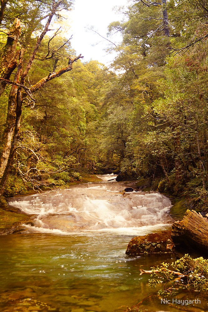 "Upper Liffey River, northern Tasmania" by Nic Haygarth | Redbubble