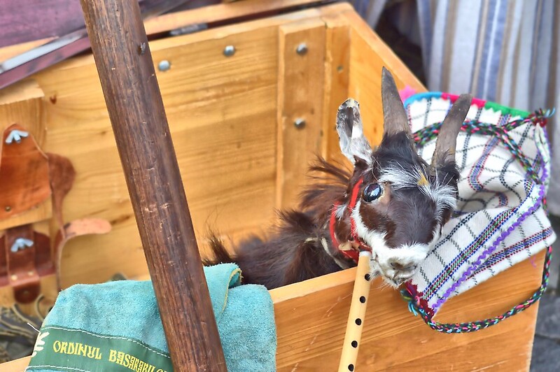 "Ancient Style Creepy Goat Bagpipe " by ivDAnu | Redbubble